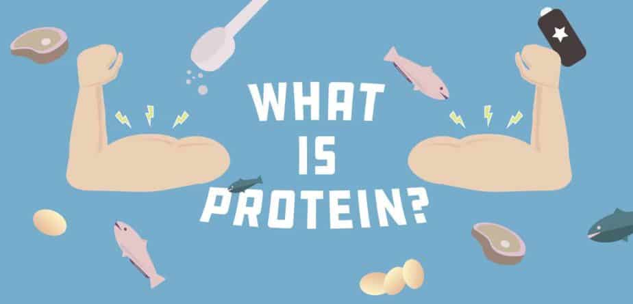 What Is Protein? A Complete Guide - RAVE Reviews