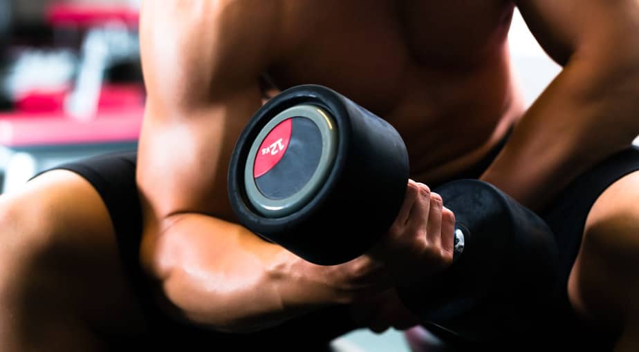 How Protein Builds Muscle After A Workout - RAVE Reviews