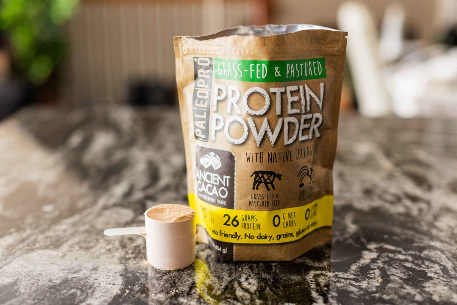 The Best Paleo Friendly Protein Powders (Our 2024 Review) - RAVE Reviews